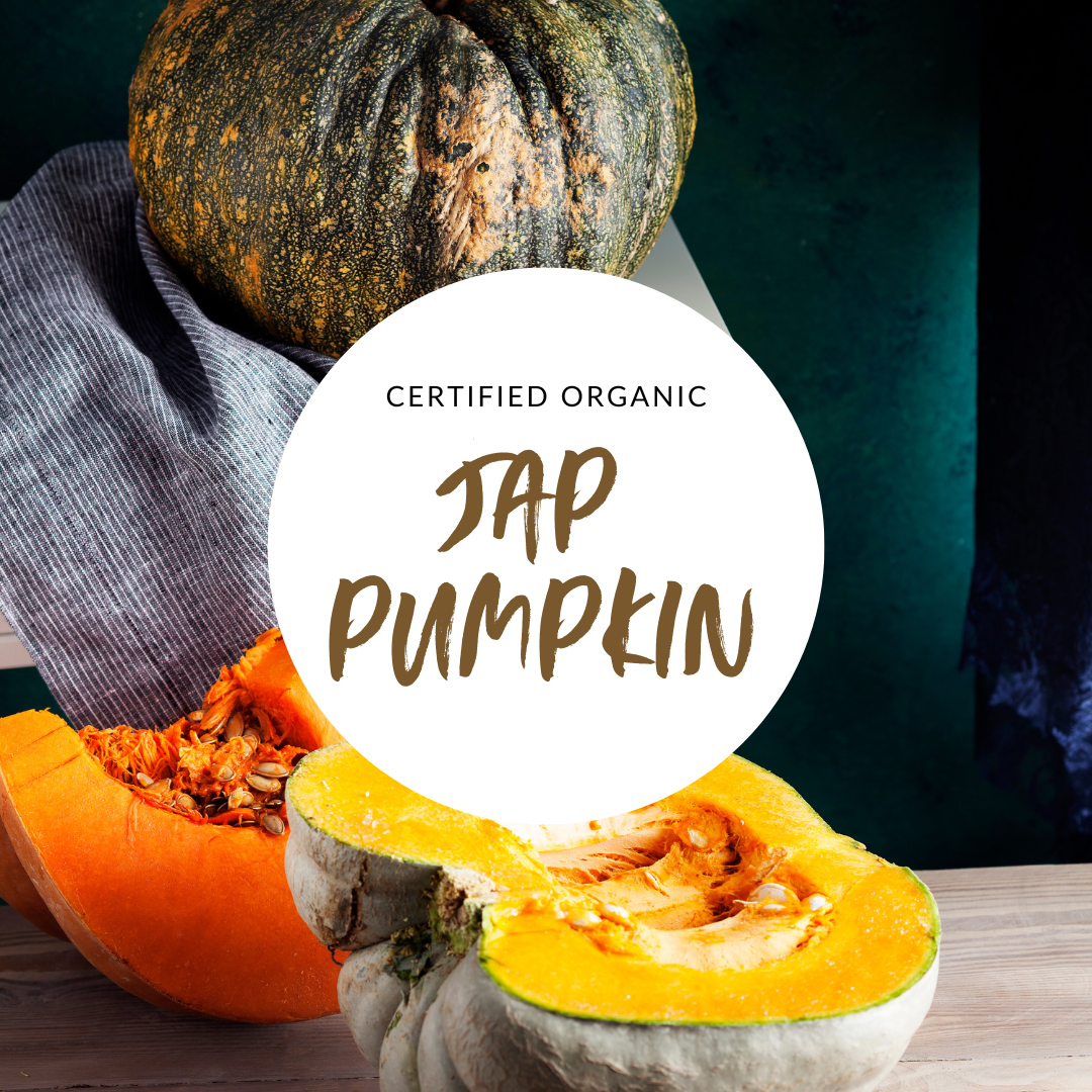 Pumpkin Jap/Kent 1kg - Good Harvest
